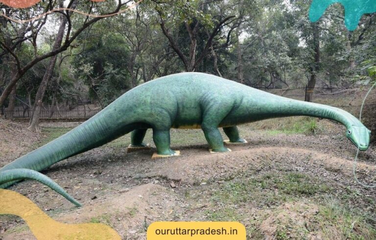 Kanpur Zoo (Allen Forest Zoo): How To Reach, Best Time & Tips